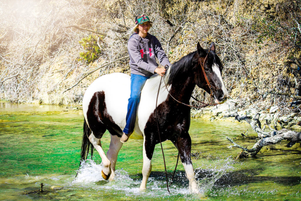 Home Platinum Equine Auction