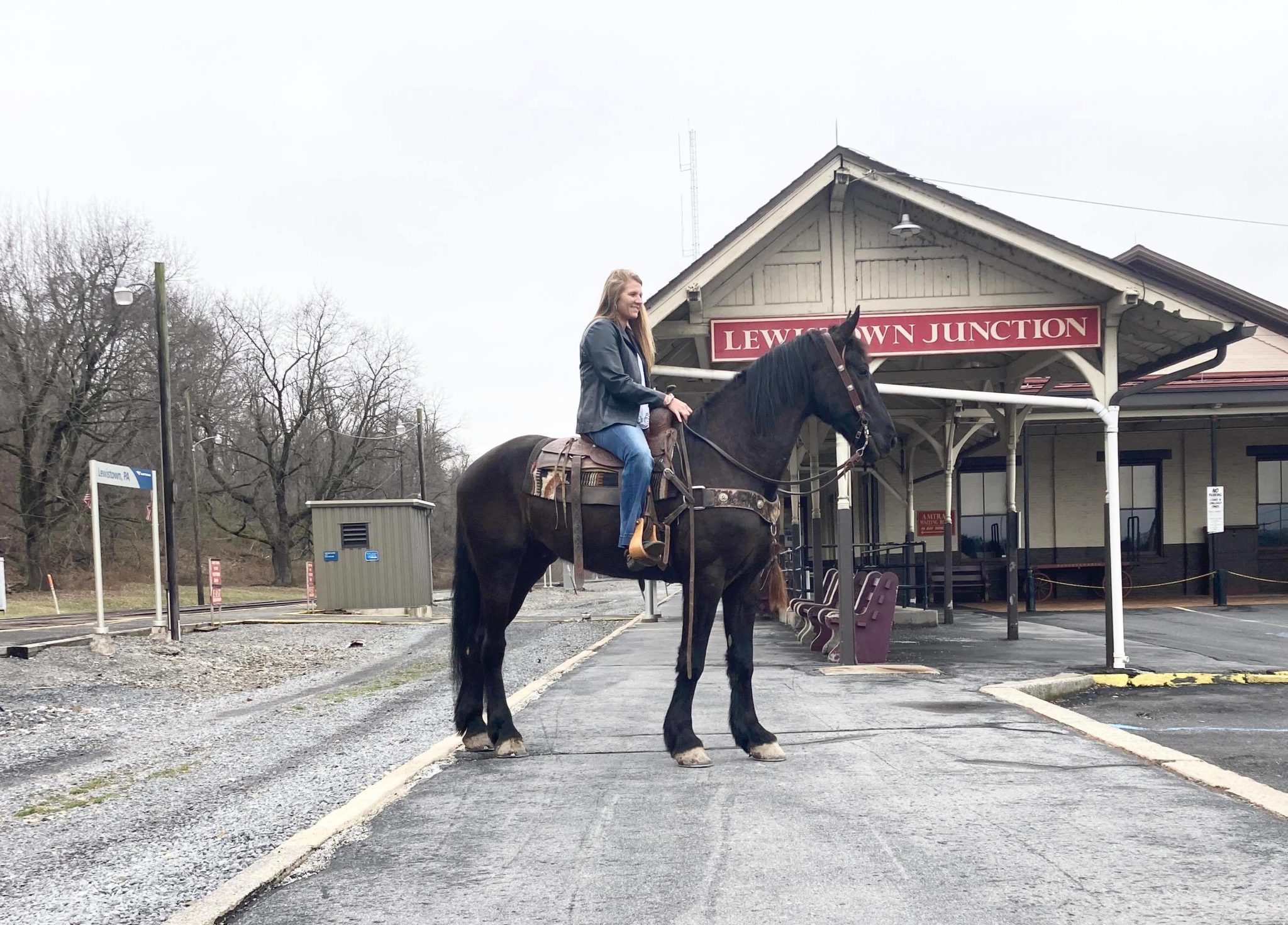 Live Auctions - Platinum Equine Auction