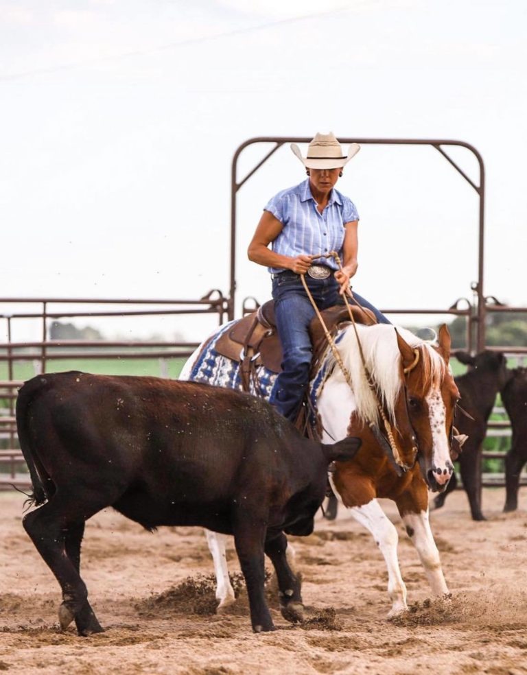 Live Auctions - Platinum Equine Auction