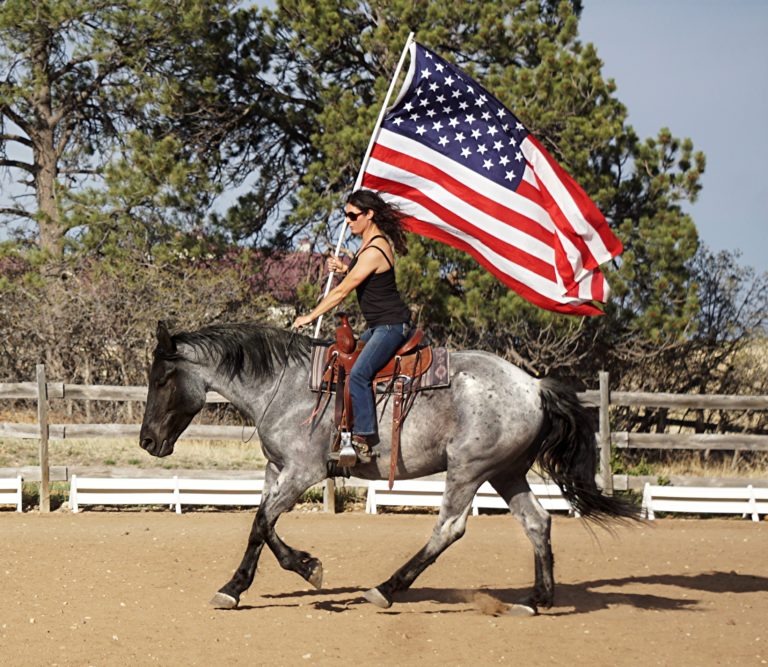 Live Auctions - Platinum Equine Auction