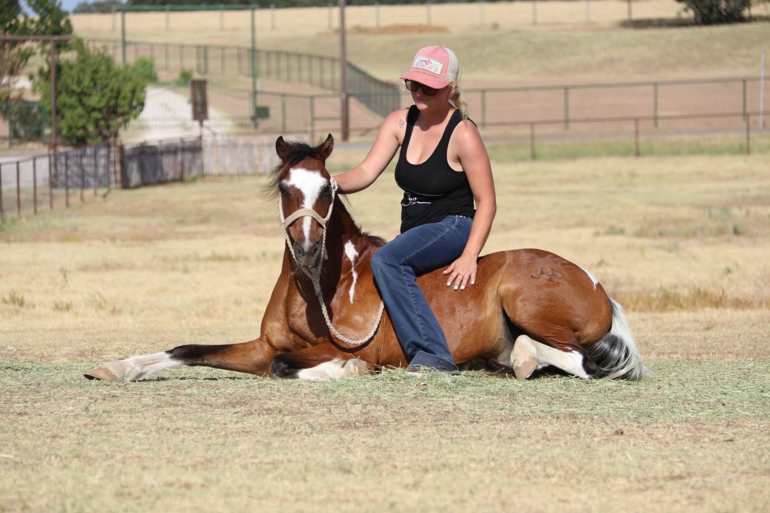 Live Auctions - Platinum Equine Auction